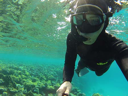 Apnoetauchen lernen - Ausbildung von Apnoe- und Freitauchern