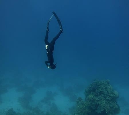 Freitauchen lernen: So geht Apnoetauchen und Freediving